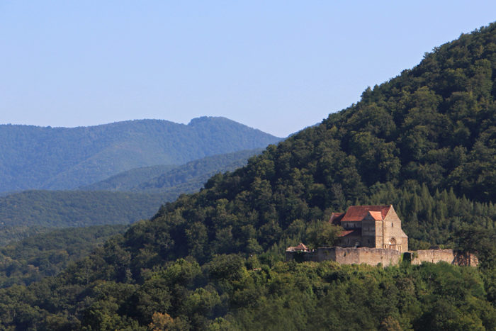 City & Veggie Guide Sibiu / Hermannstadt - Transglobal Pan Party