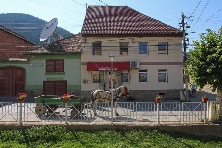 City & Veggie Guide Sibiu / Hermannstadt - Transglobal Pan Party